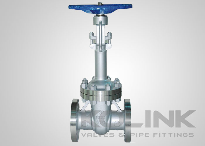 Cryogenic Gate Valve for LNG & Low-Temperature Fluids
