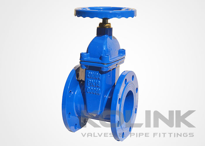 Cast Iron Resilient Seated Gate Valve with Encapsulated Disc