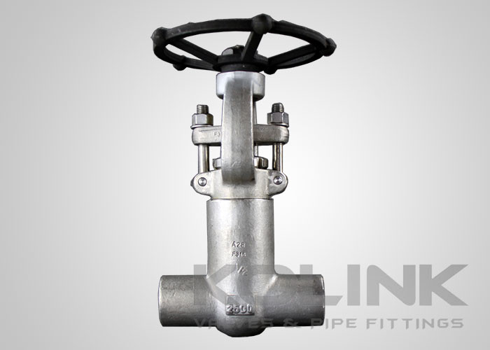 Pressure-Seal Bonnet Forged Steel Gate Valve | High Pressure SW