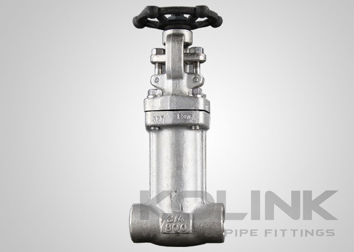 Forged Stainless Steel Bellows Seal Gate Valve F304/F316